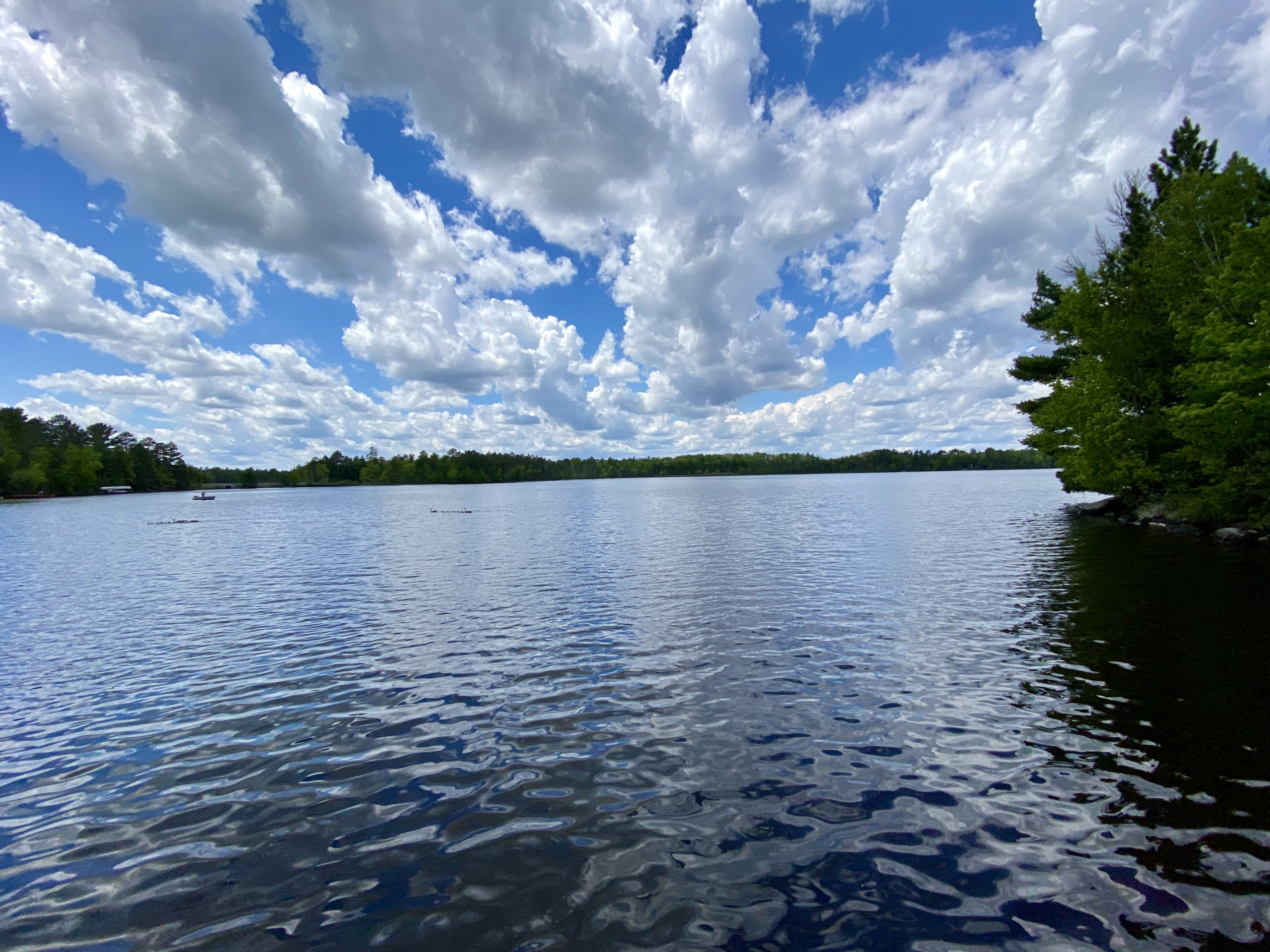 Family Friendly - White Pines Cabin - Three Lakes WI
